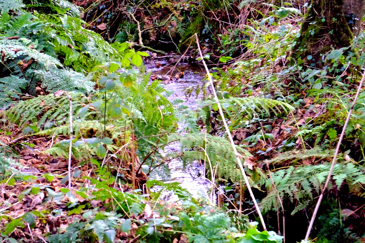 Popping Clogs & Kicking Buckets – Notes from the Far Beyond