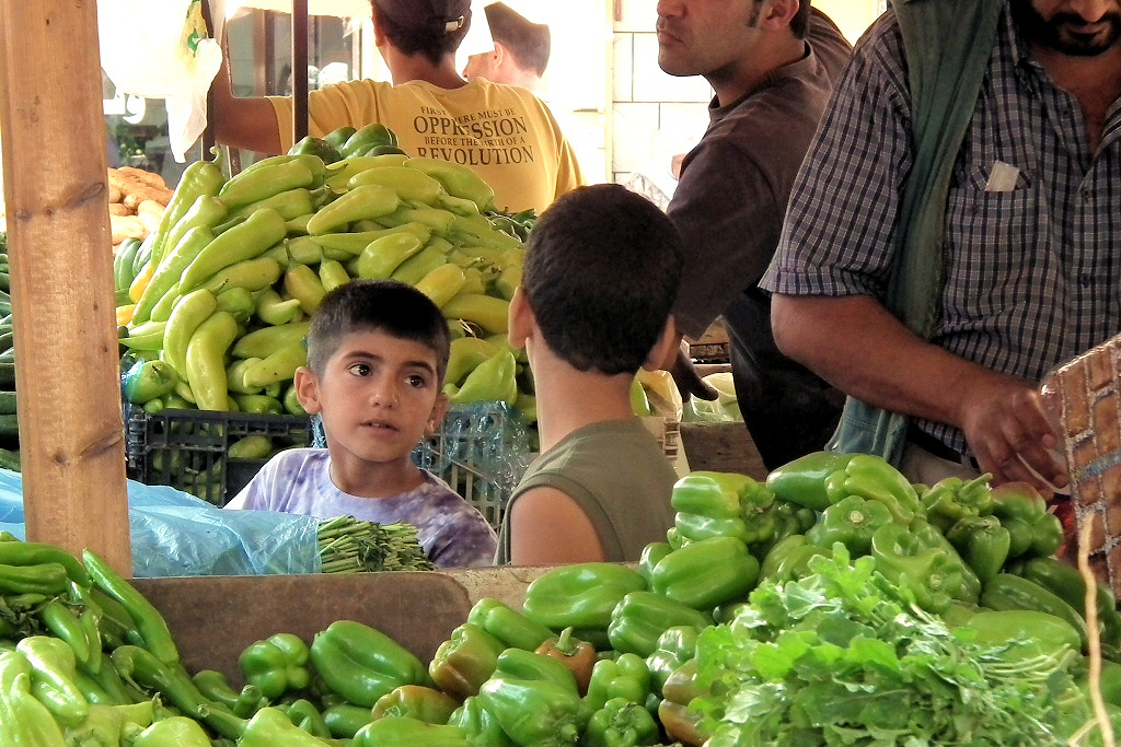 Jenin – Notes from the Far Beyond